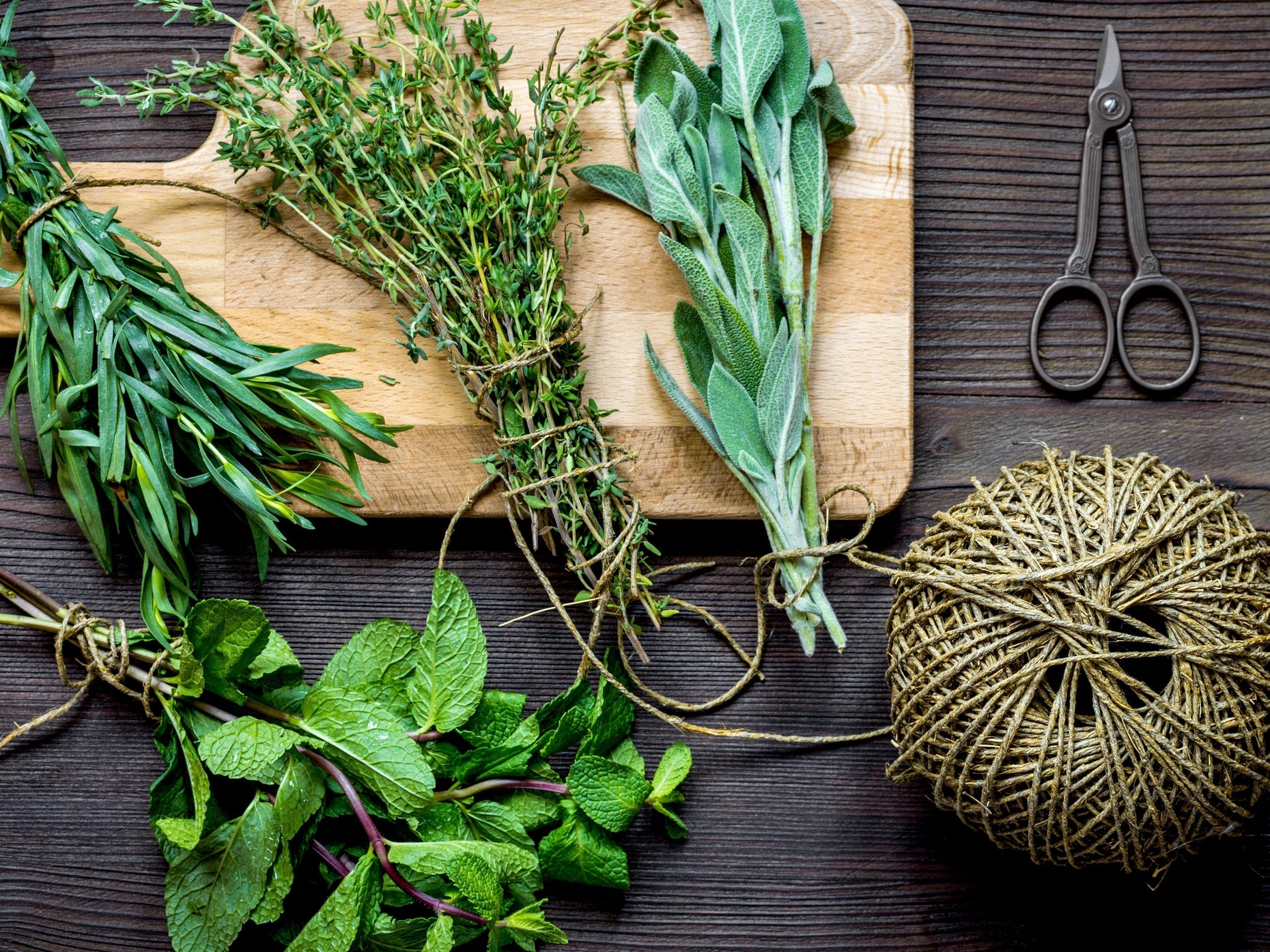 Sécher ses herbes aromatiques - méthodes et conseils – HerboDirect