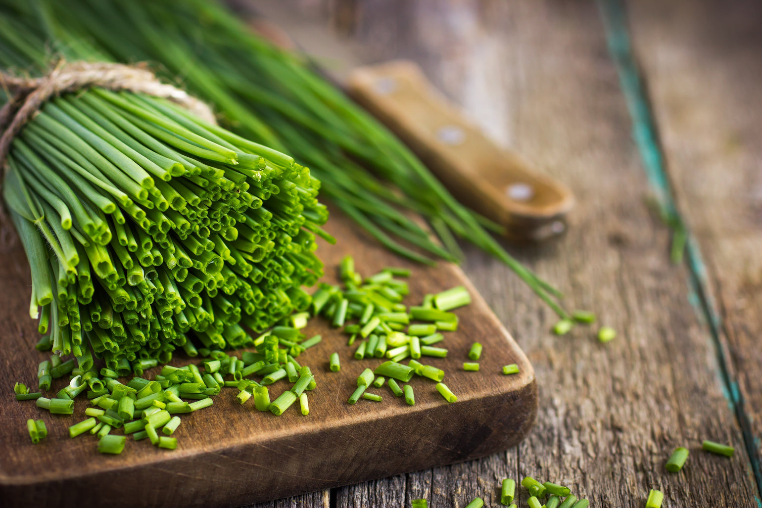 Ciboulette - Astuces de Culture et Recettes Phares – HerboDirect