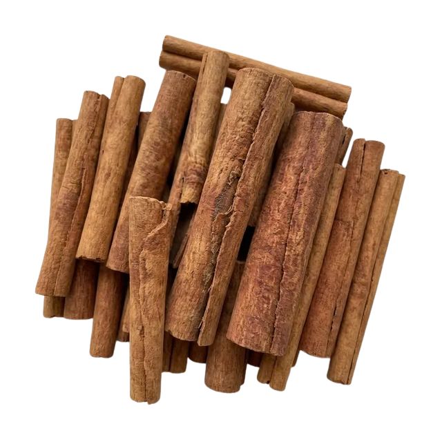 Zaatar Plante : Culture, Bienfaits et Utilisations – HerboDirect